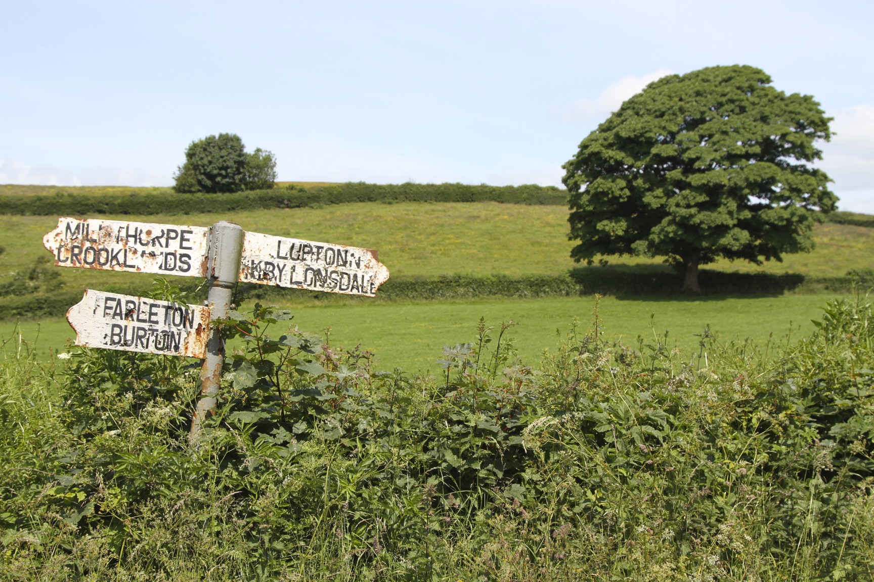 A walk to Farleton Knott and Burton-in-Kendal – Notes from Camelid Country