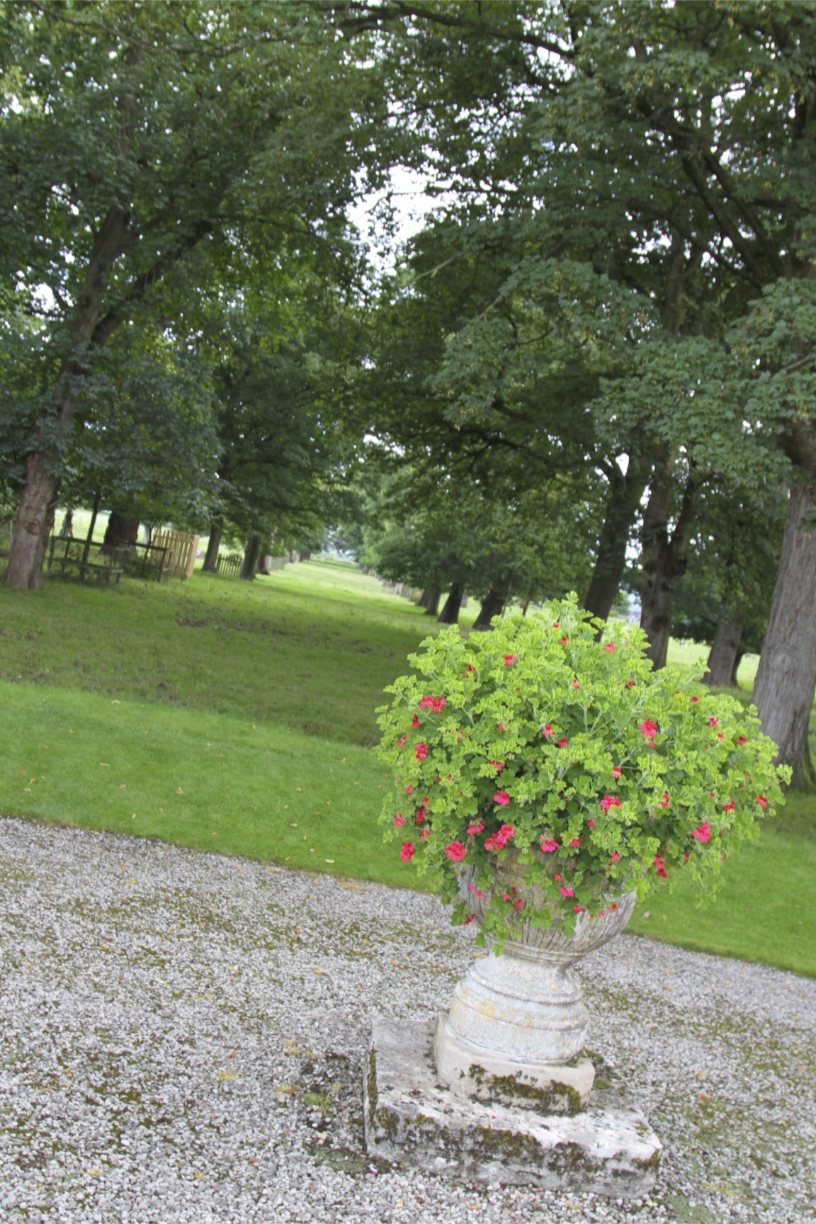 A tale of two houses (part 1): Levens Hall – Notes from Camelid Country