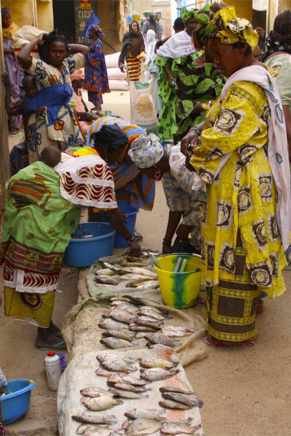 The Niger River port of Tonka, Mali, Africa – Notes from Camelid Country