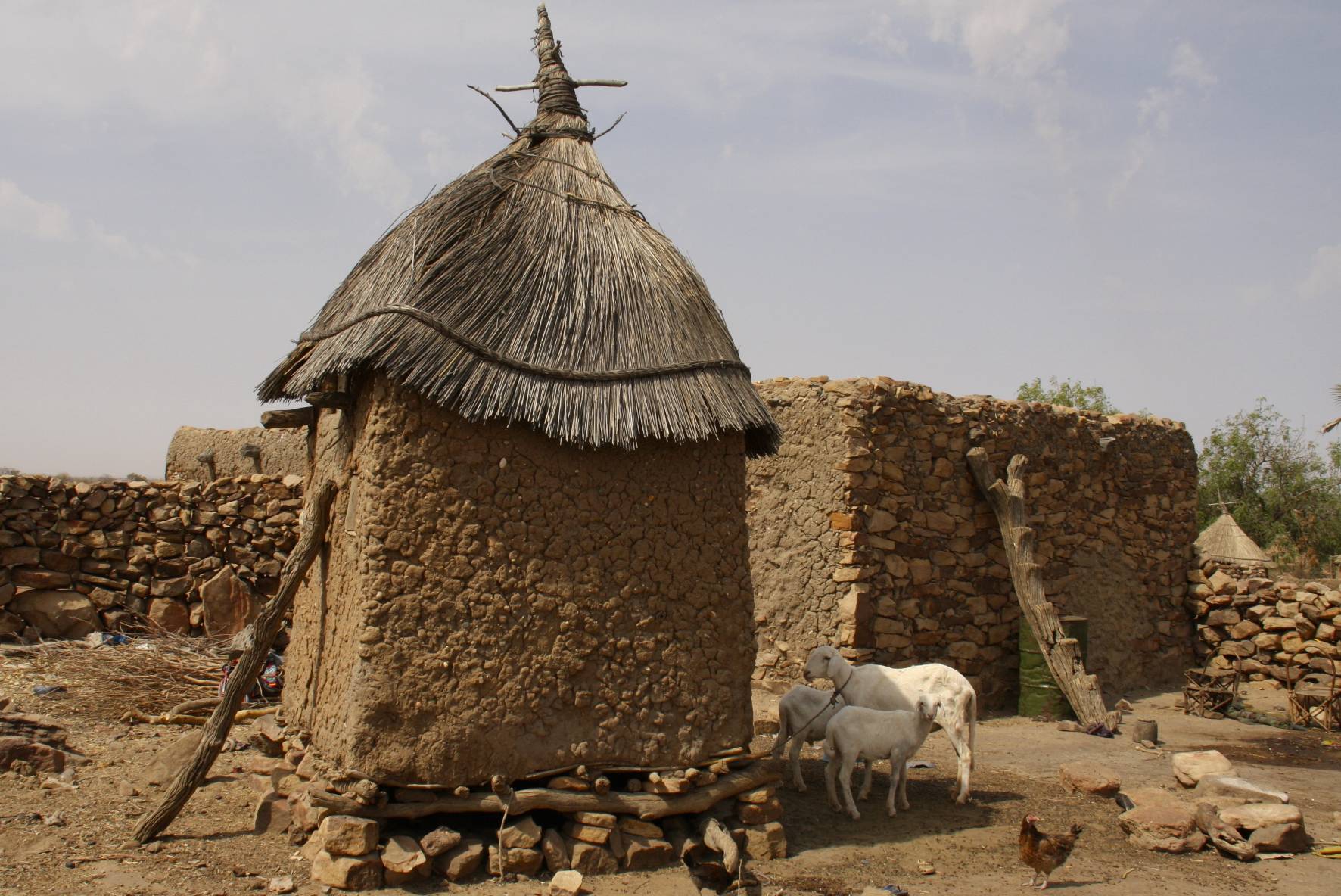 Typical Dogon village buildings, Dogon Country, Mali, Africa – Notes ...