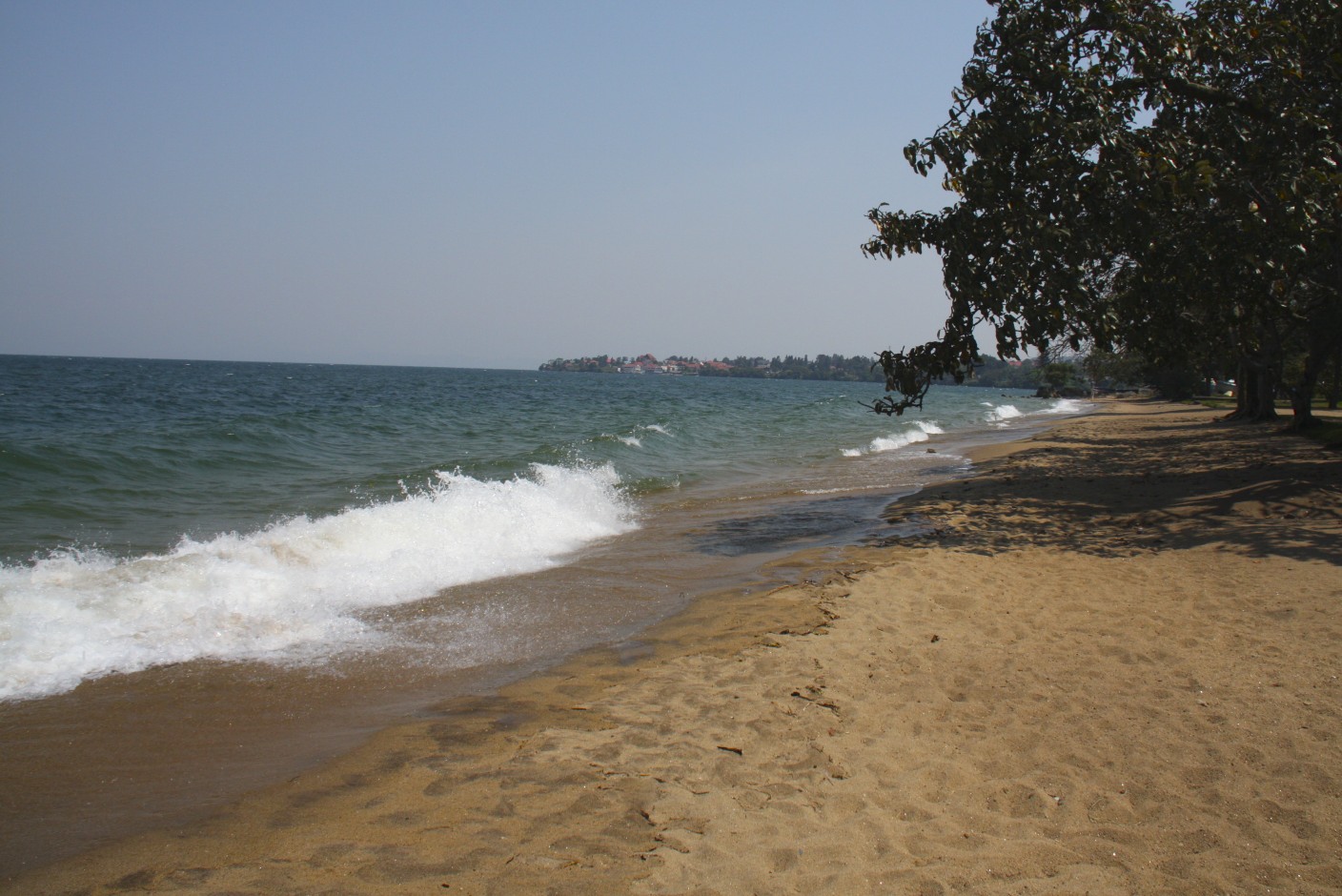 Taking your life in your hands in Gisenyi – Notes from Camelid Country