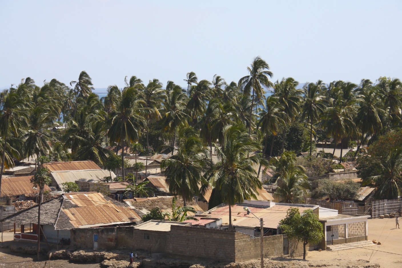 Pemba, a town of endless beaches – Notes from Camelid Country