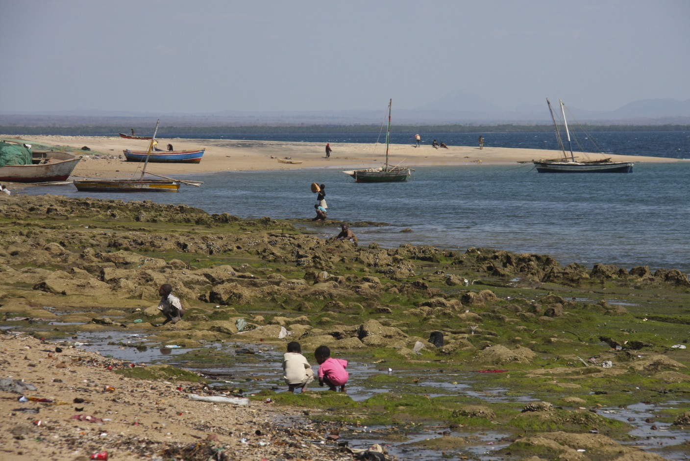 Pemba, a town of endless beaches – Notes from Camelid Country