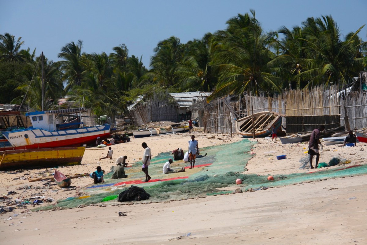 Pemba, a town of endless beaches – Notes from Camelid Country