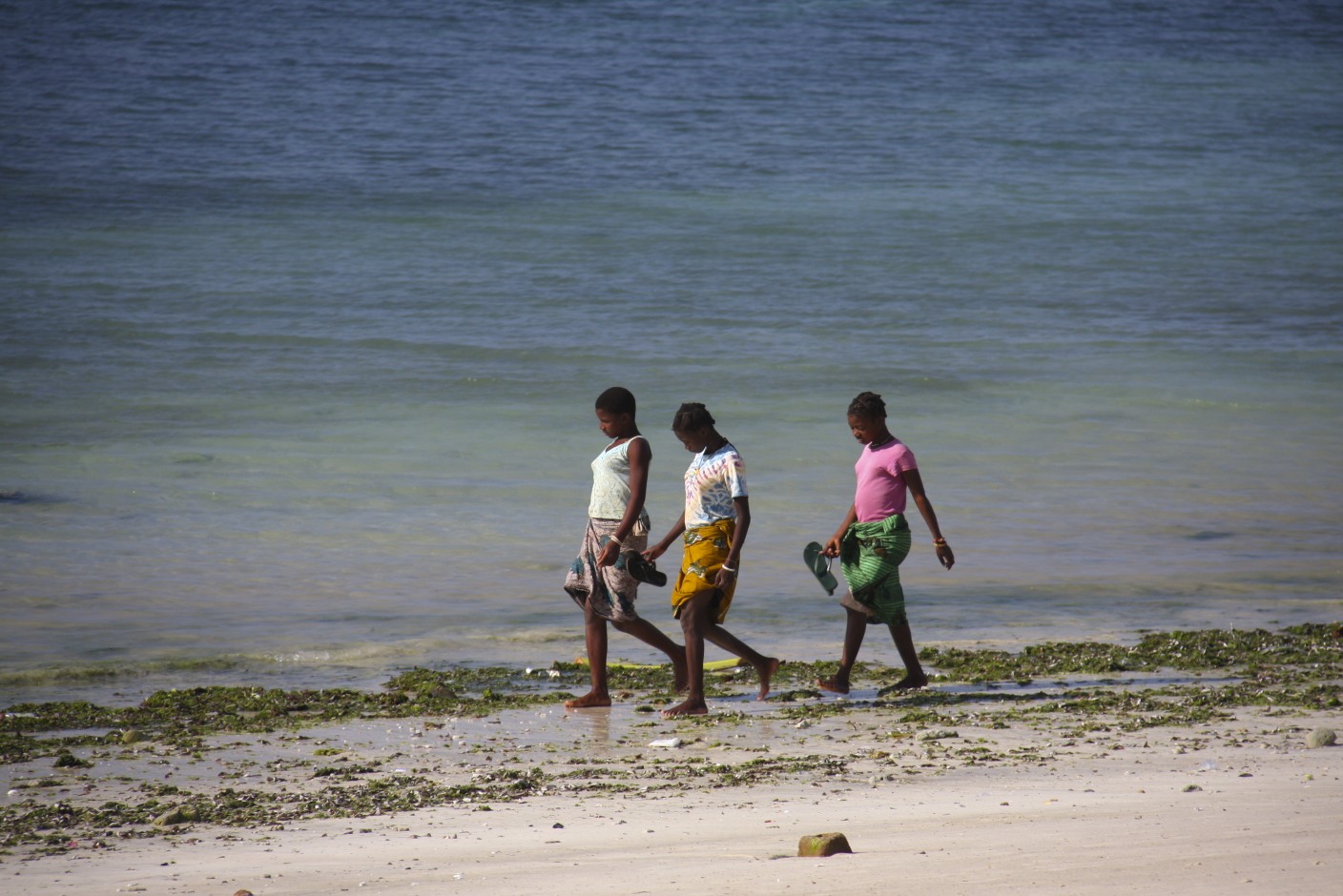 Scenes from Wimbe Beach, Mozambique – Notes from Camelid Country