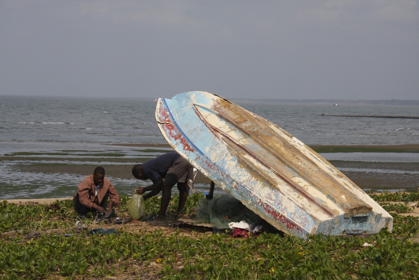 Scenes from Wimbe Beach, Mozambique – Notes from Camelid Country