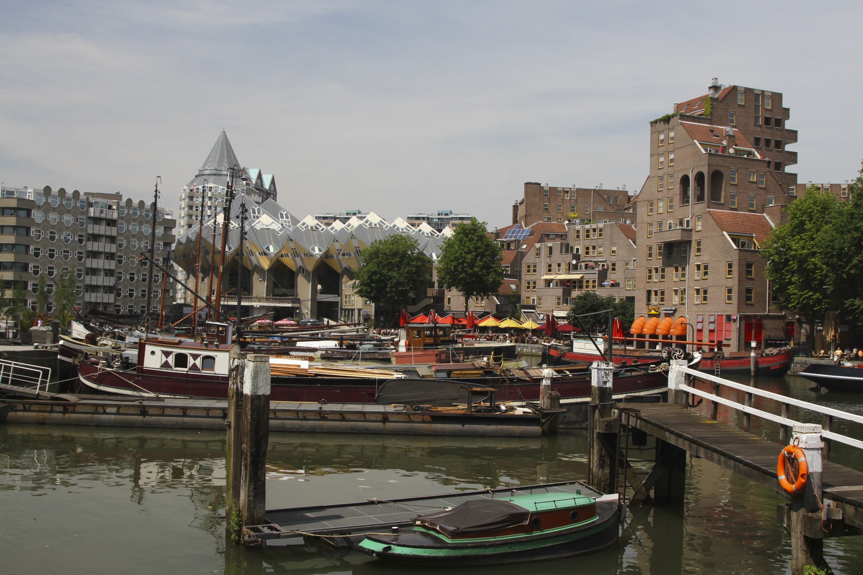 On the waterfront…in Rotterdam – Notes from Camelid Country