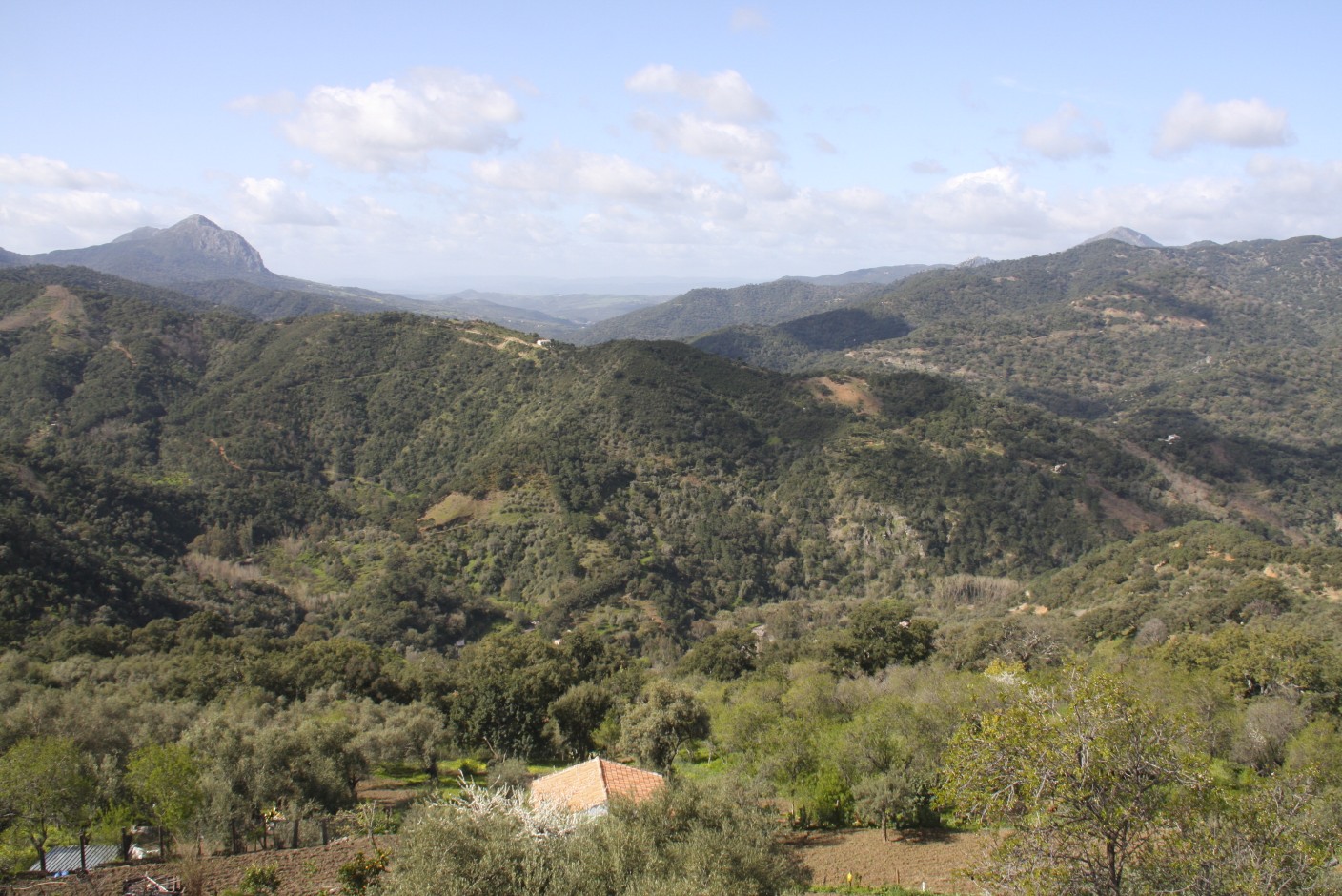 Jubrique, Andalusia, Spain – Notes from Camelid Country