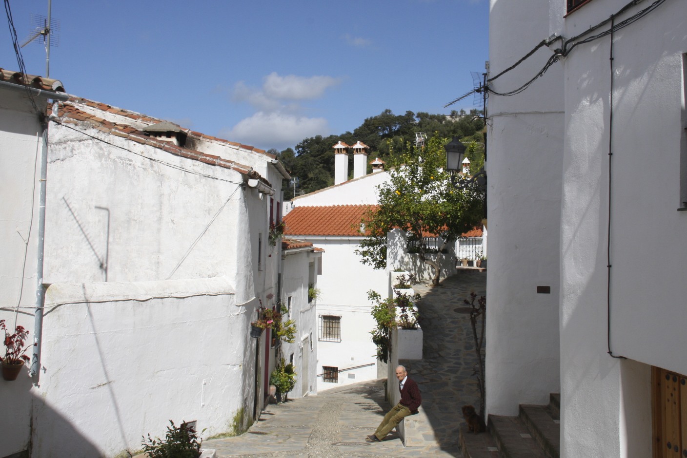 Jubrique, Andalusia, Spain – Notes from Camelid Country