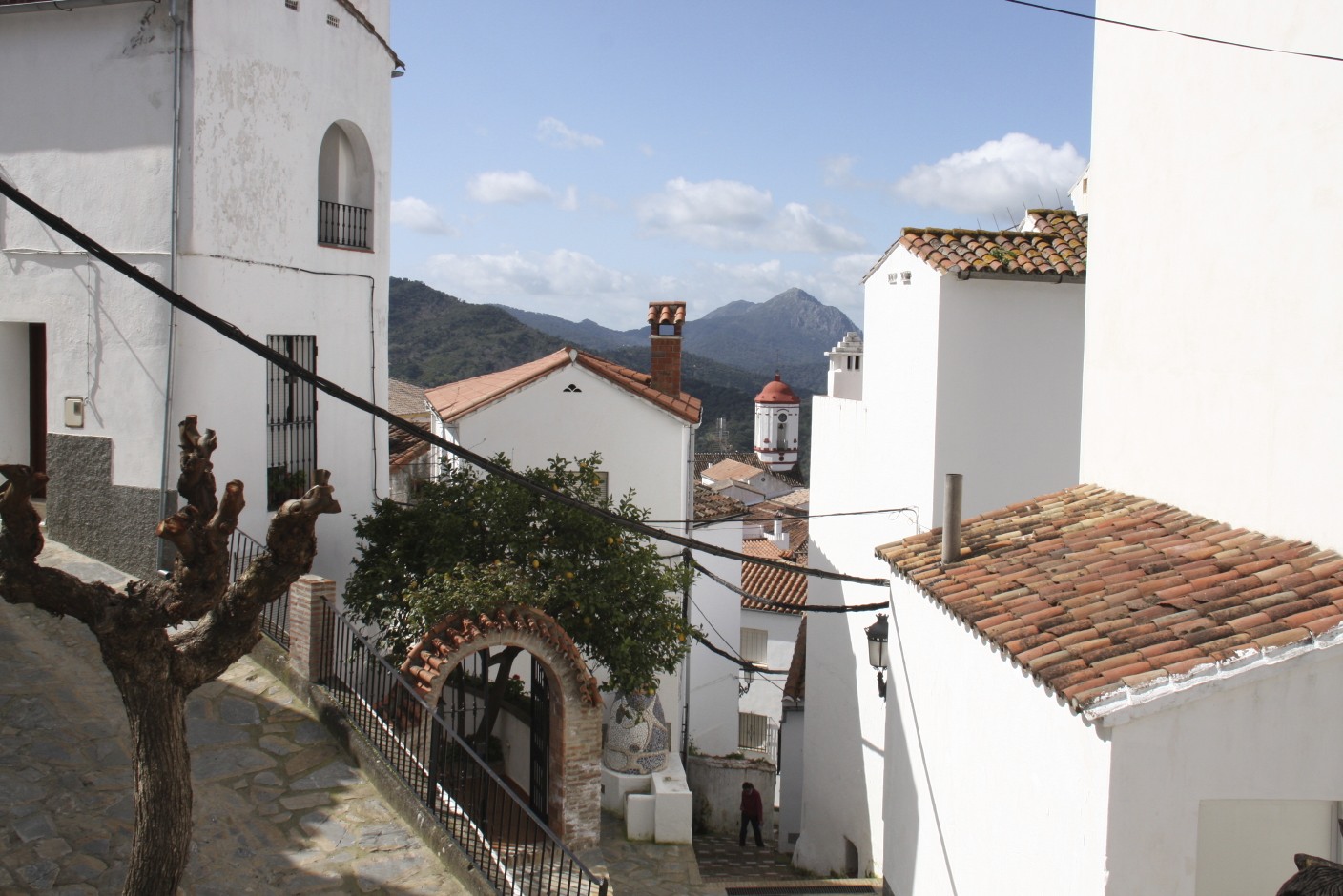 Jubrique, Andalusia, Spain – Notes from Camelid Country