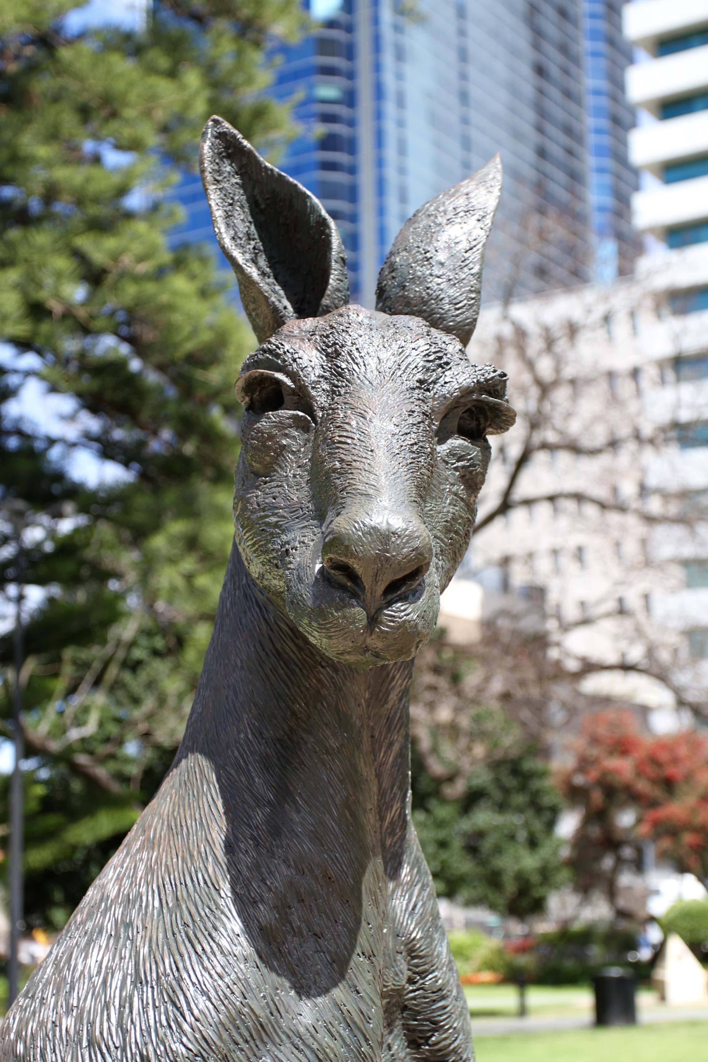 Garden Ornaments Perth Western Australia | Fasci Garden