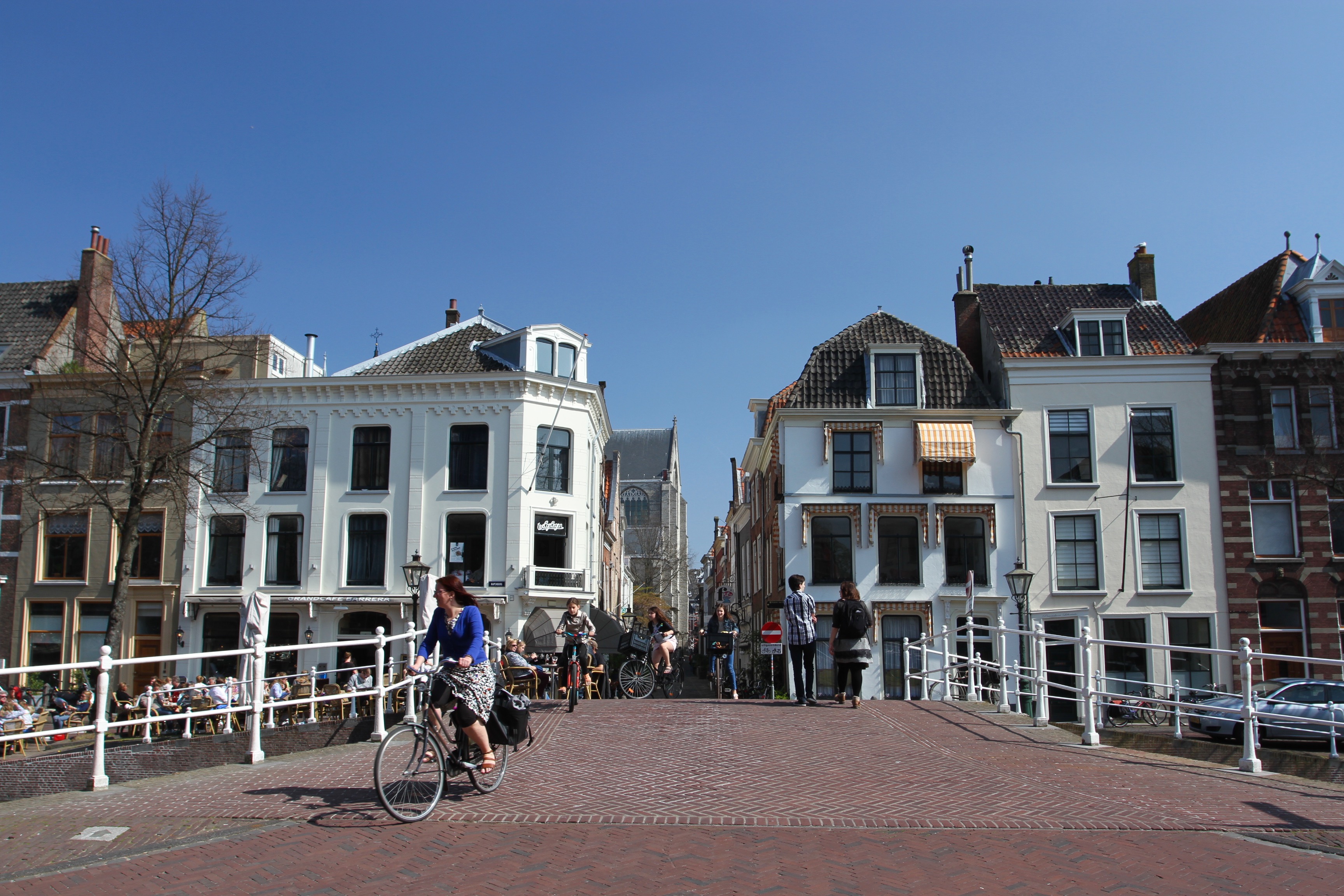 Leiden, Netherlands – Notes from Camelid Country