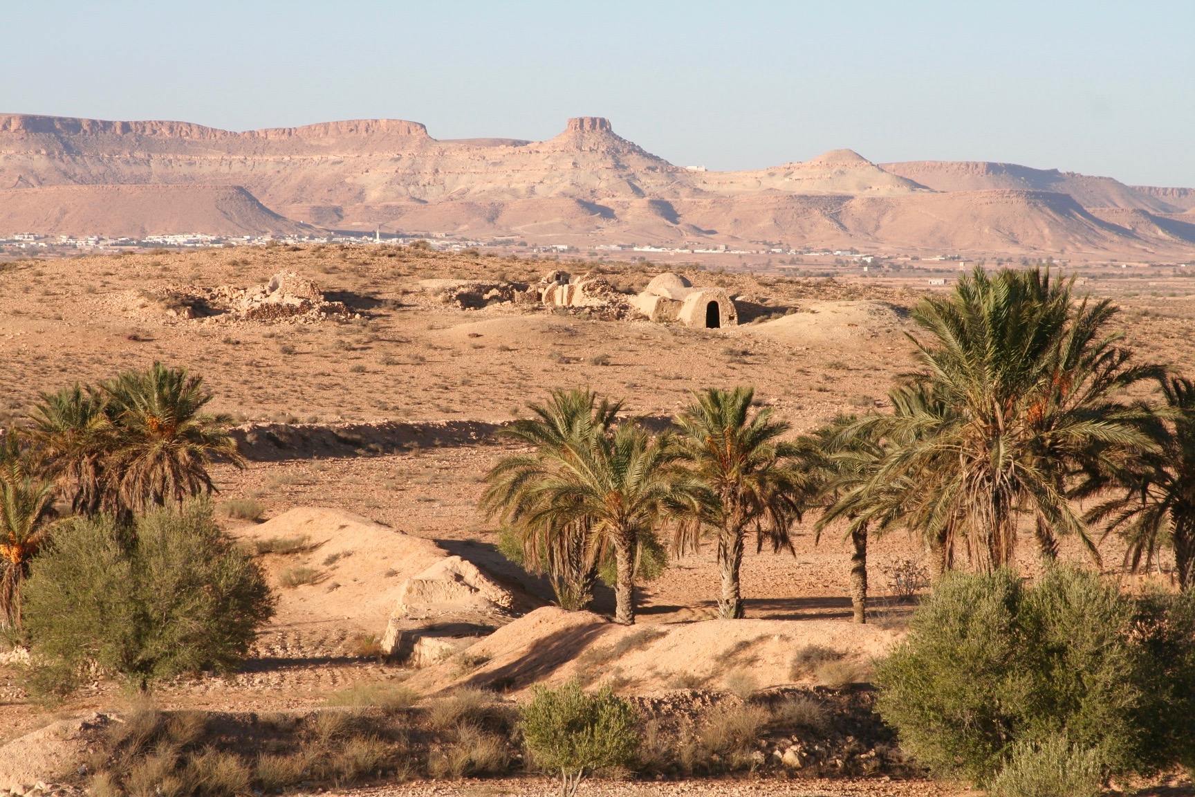 Landscape, Tunisia – Notes from Camelid Country