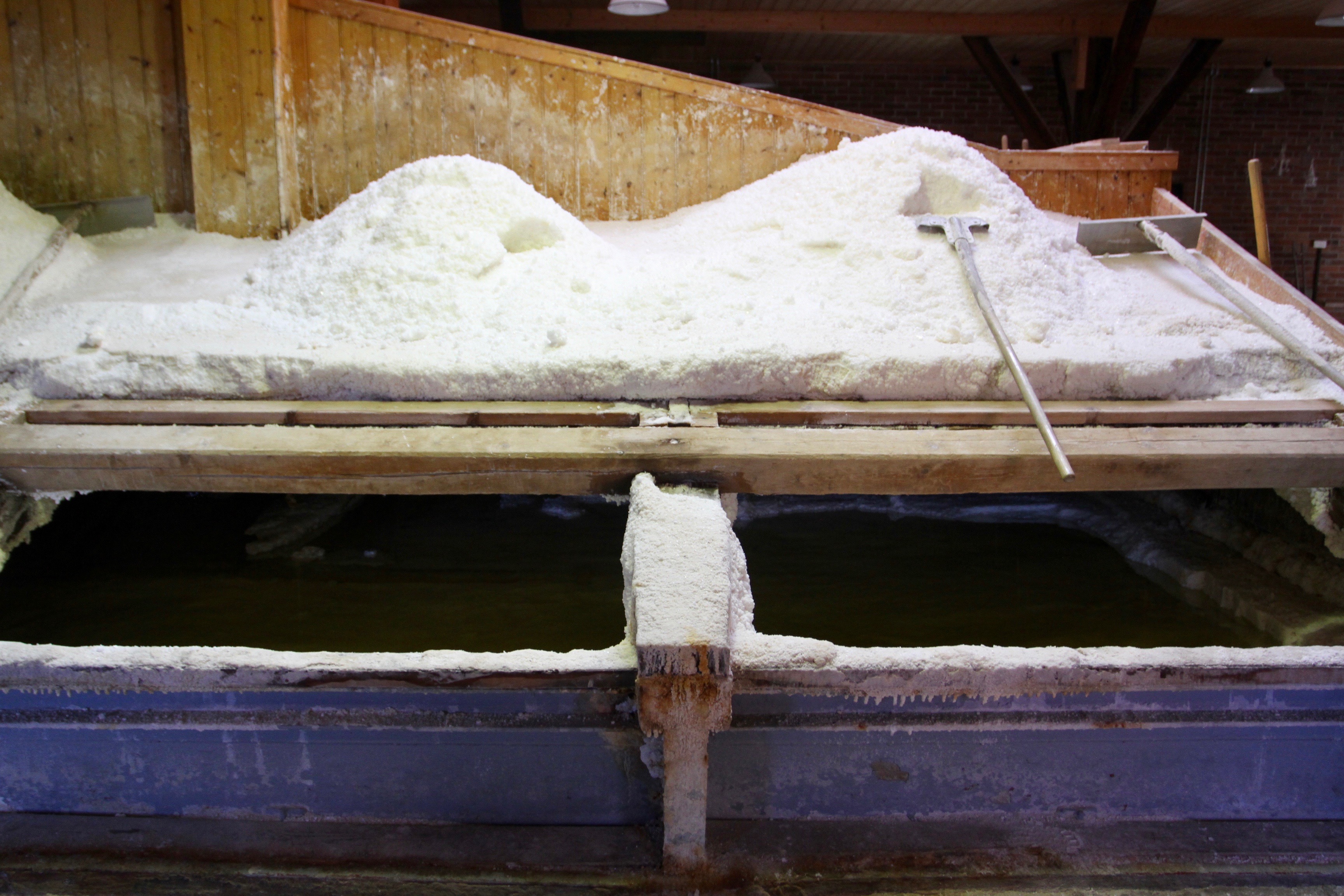 Halle, a salt of the earth East German town – Notes from Camelid Country