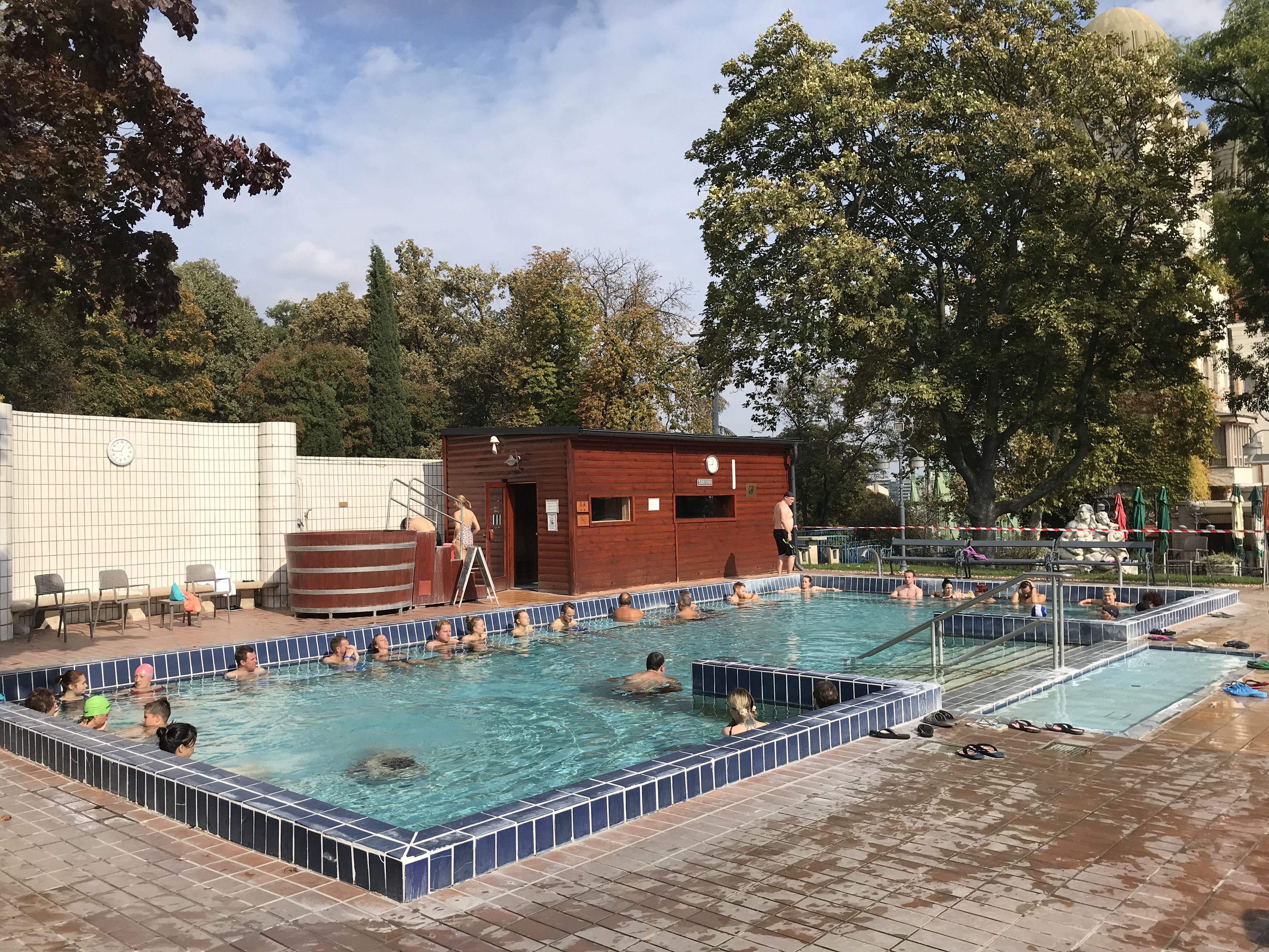 Curing the “Cat’s Wail” at Budapest’s Gellert Baths – Notes from ...