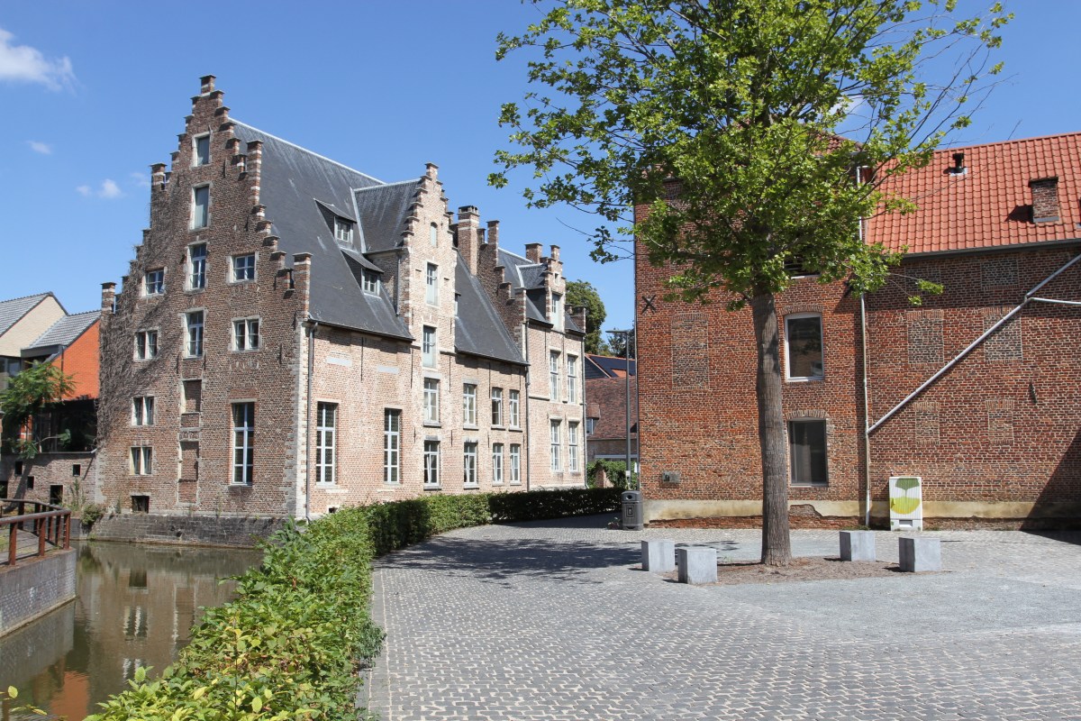 The ‘Orange City’ of Diest – Notes from Camelid Country